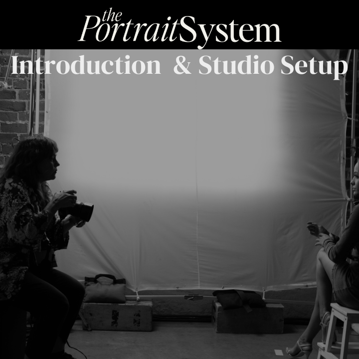 - The Portrait System