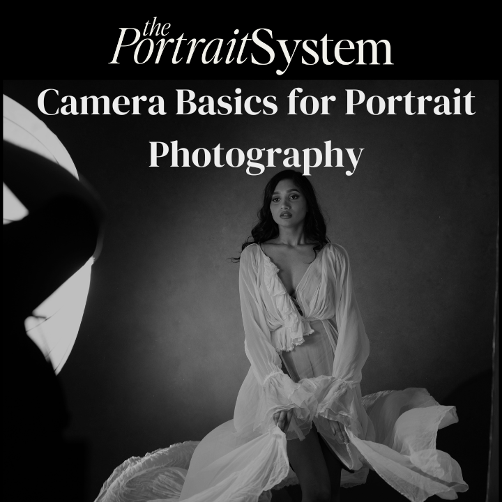 - The Portrait System
