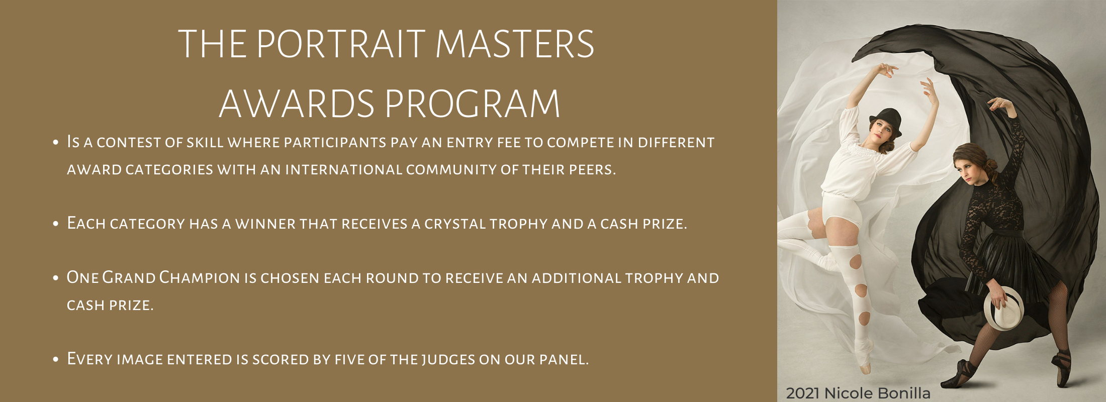 - The Portrait System