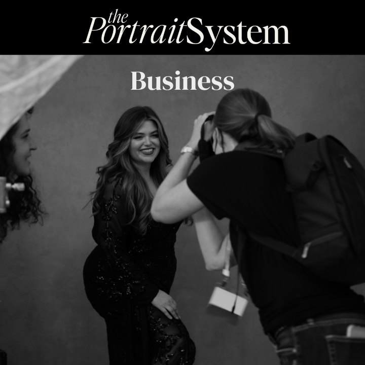 - The Portrait System