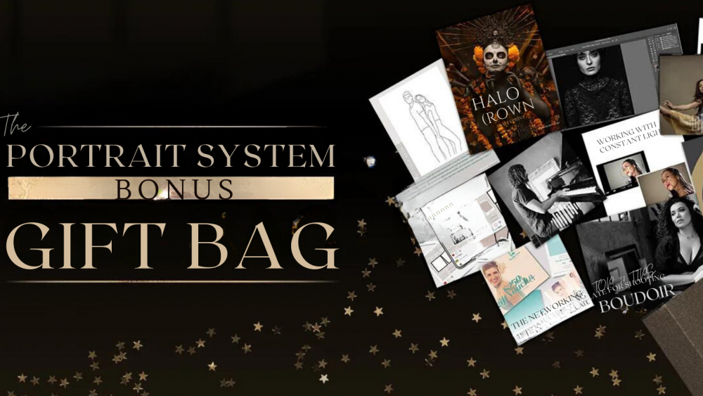 Bonus Gift - The Portrait System