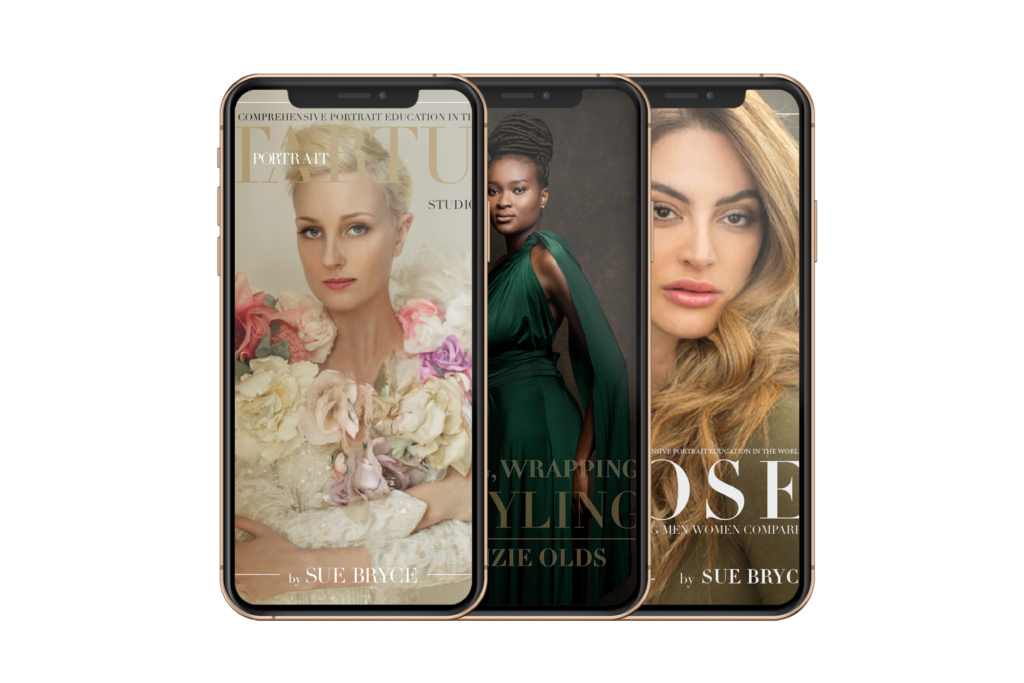 Bundle General - The Portrait System