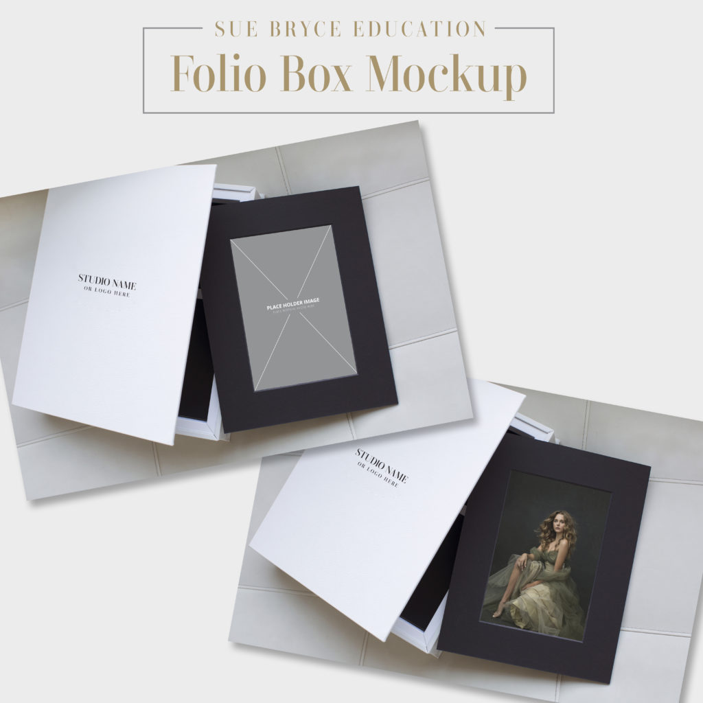 Product Mockup Templates - The Portrait System