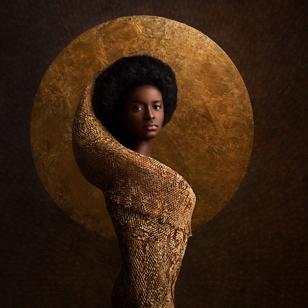 Award Galleries - The Portrait System