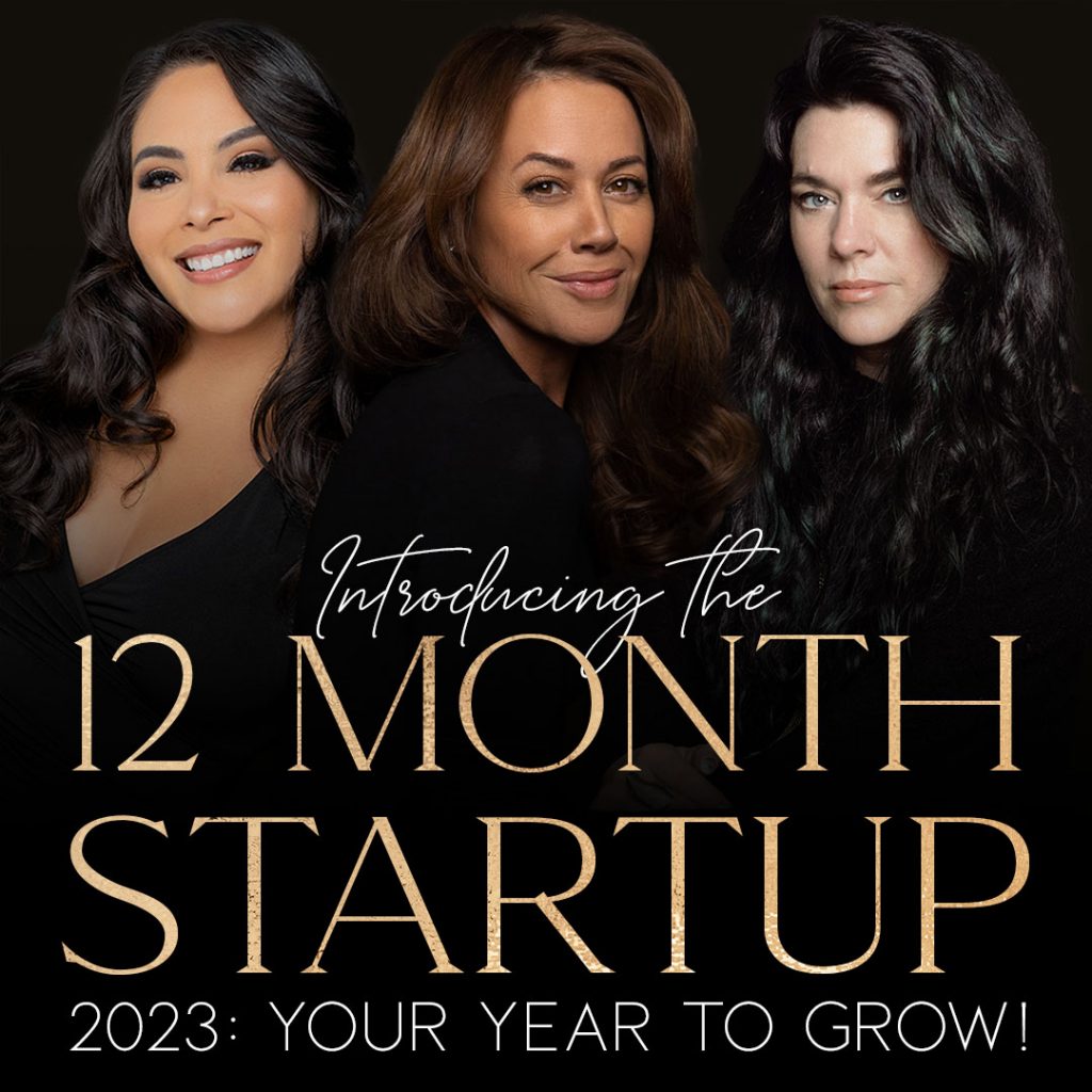 12 Month Startup - The Portrait System
