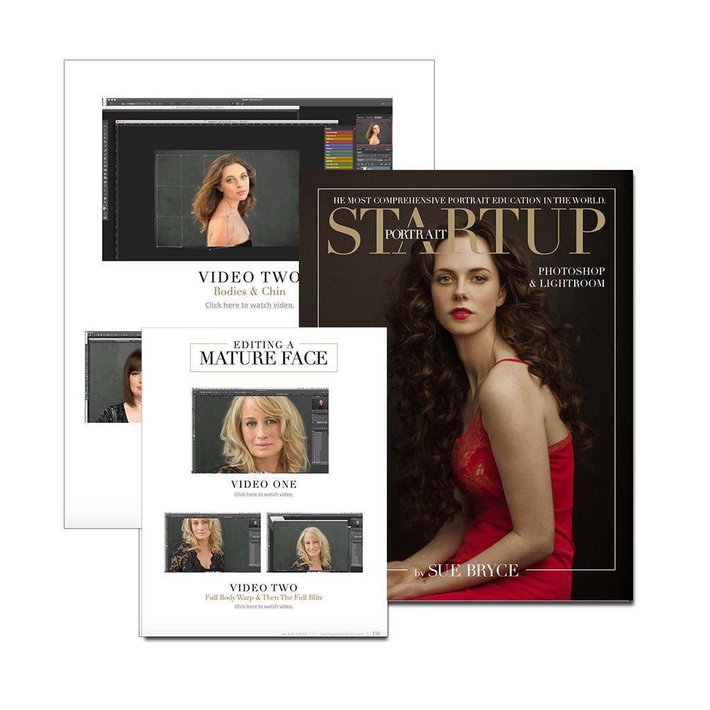 Bundle General - The Portrait System