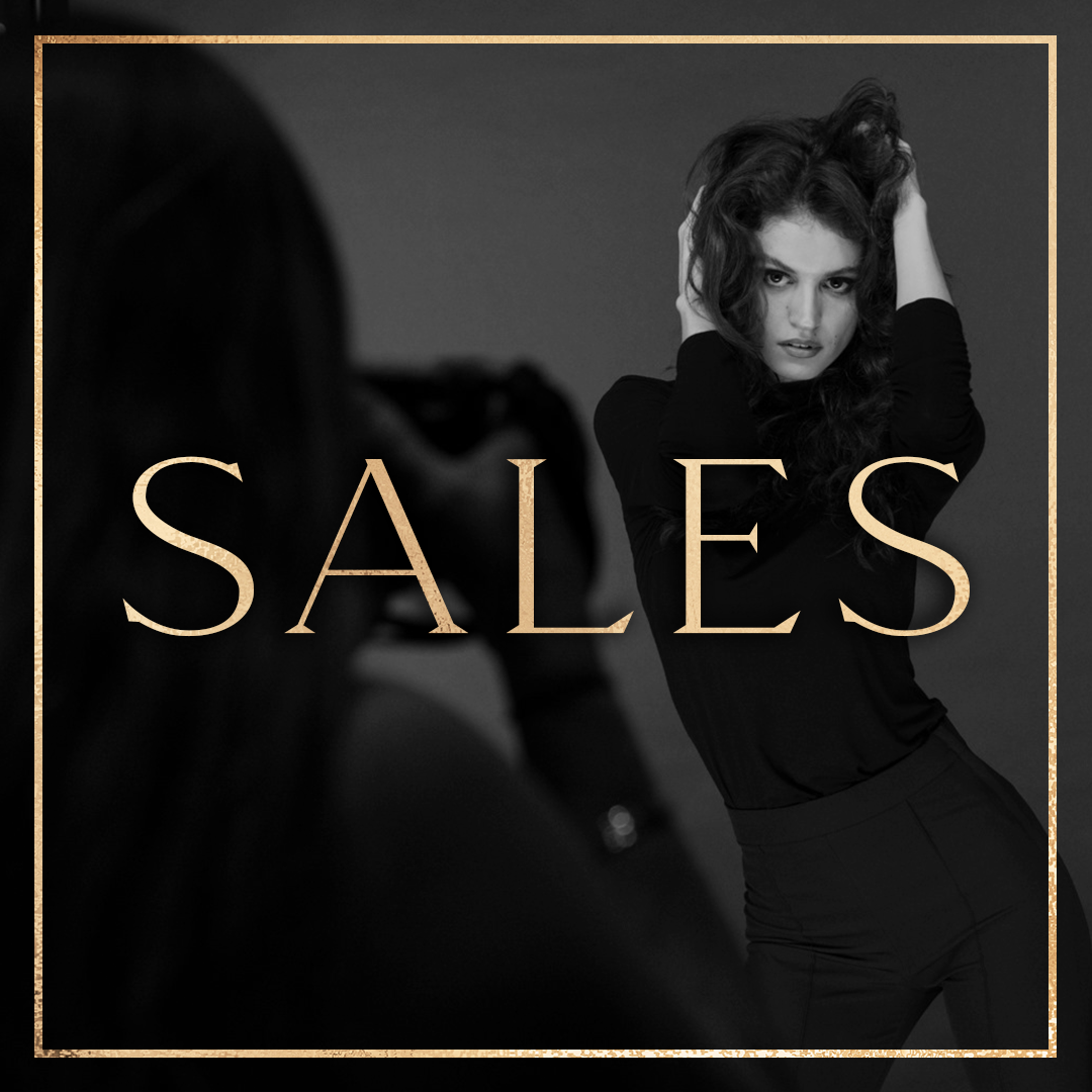 Professional Plan Sales Page - Webinar - The Portrait System