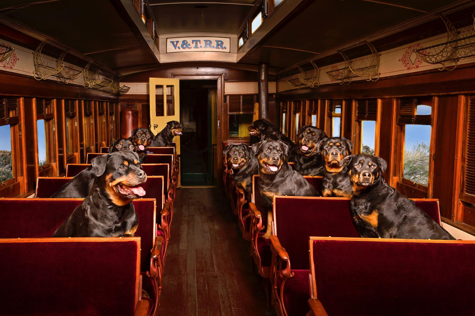 Melissa Knight - Profile - The Portrait System